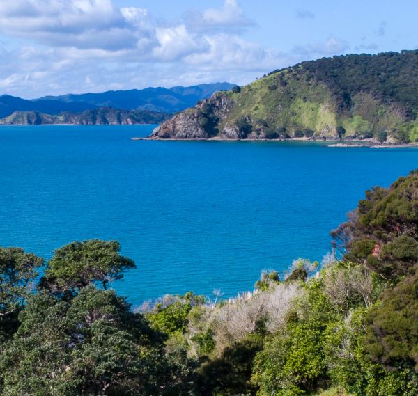 Our Villa – Little Donkey Bay